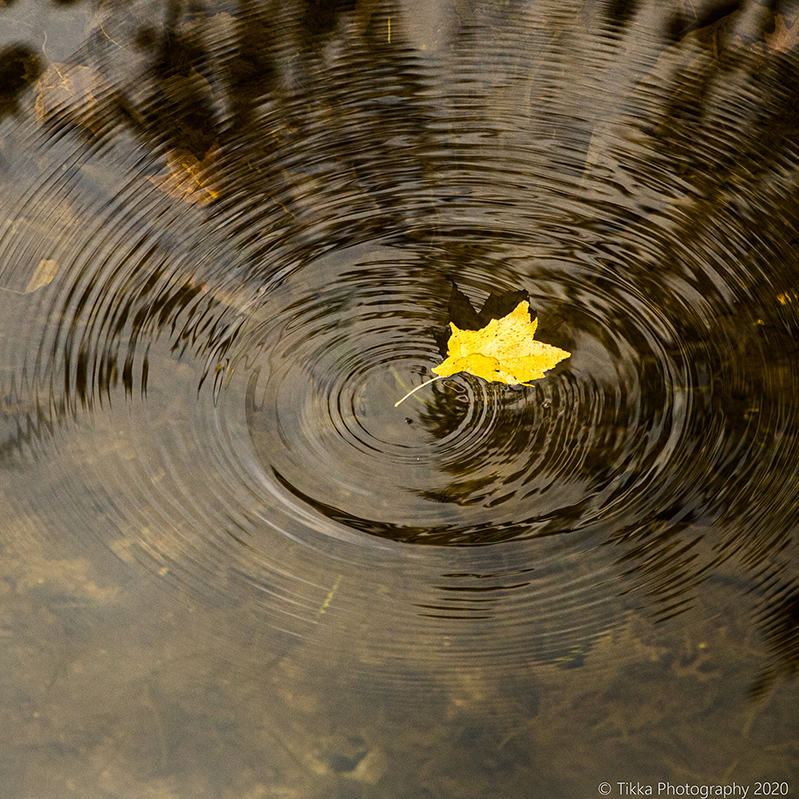 COIL's Impacts | FIU Collaborative Online International Learning